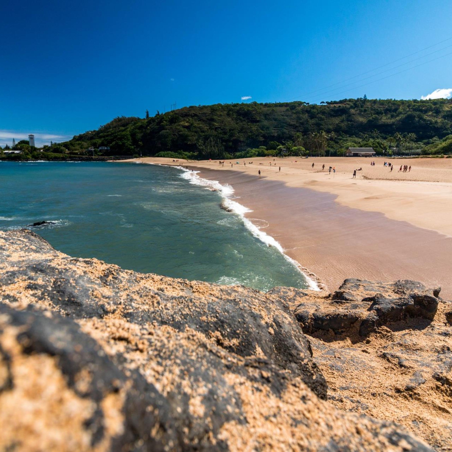 Oahu Sights, Bites & Delights | Oahu Sightseeing Tour