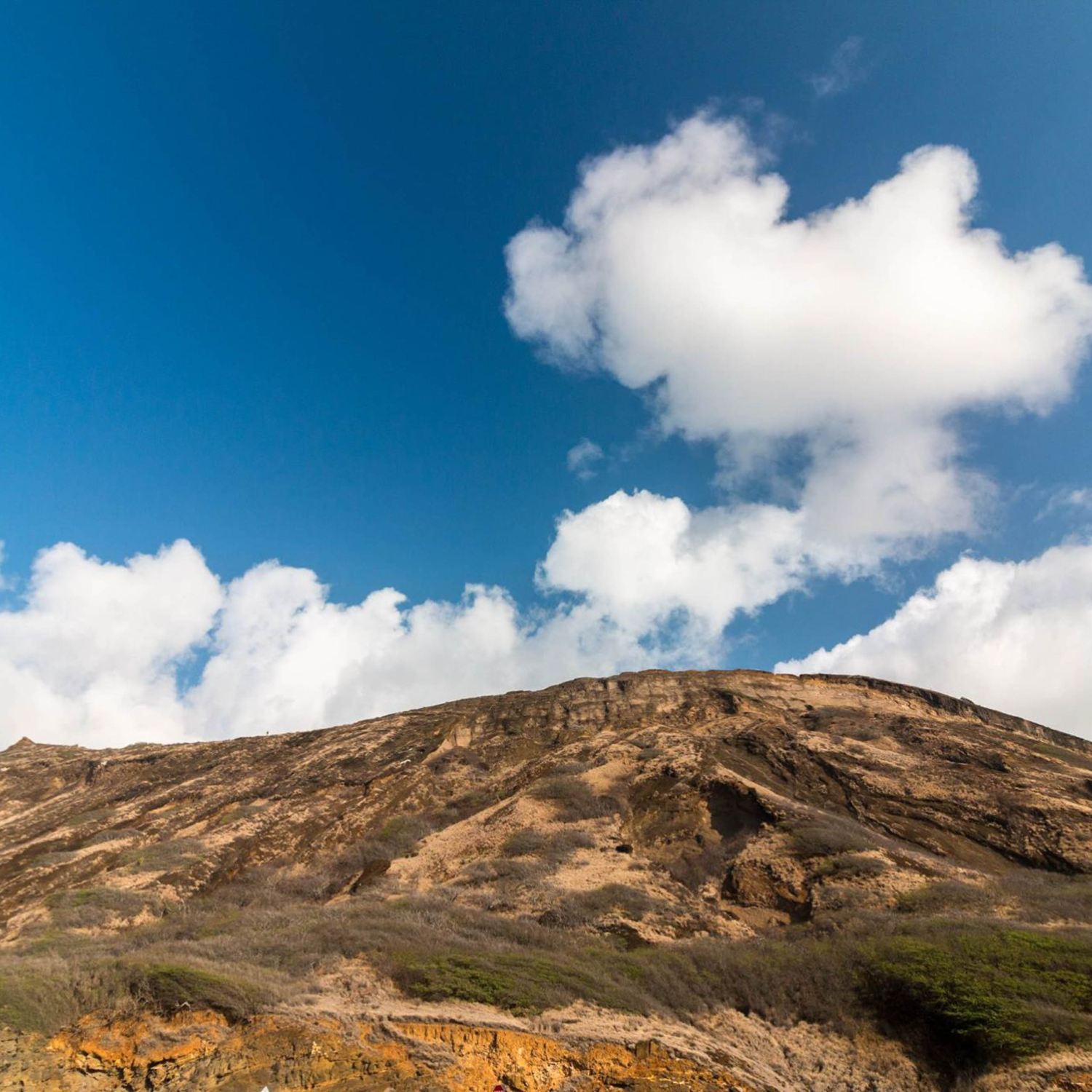 Oahu Sights, Bites & Delights | Oahu Sightseeing Tour