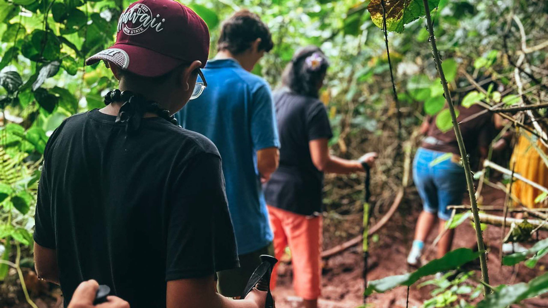 Hidden Ko’olau Waterfall Hike | Oahu Hiking Tours & Activities