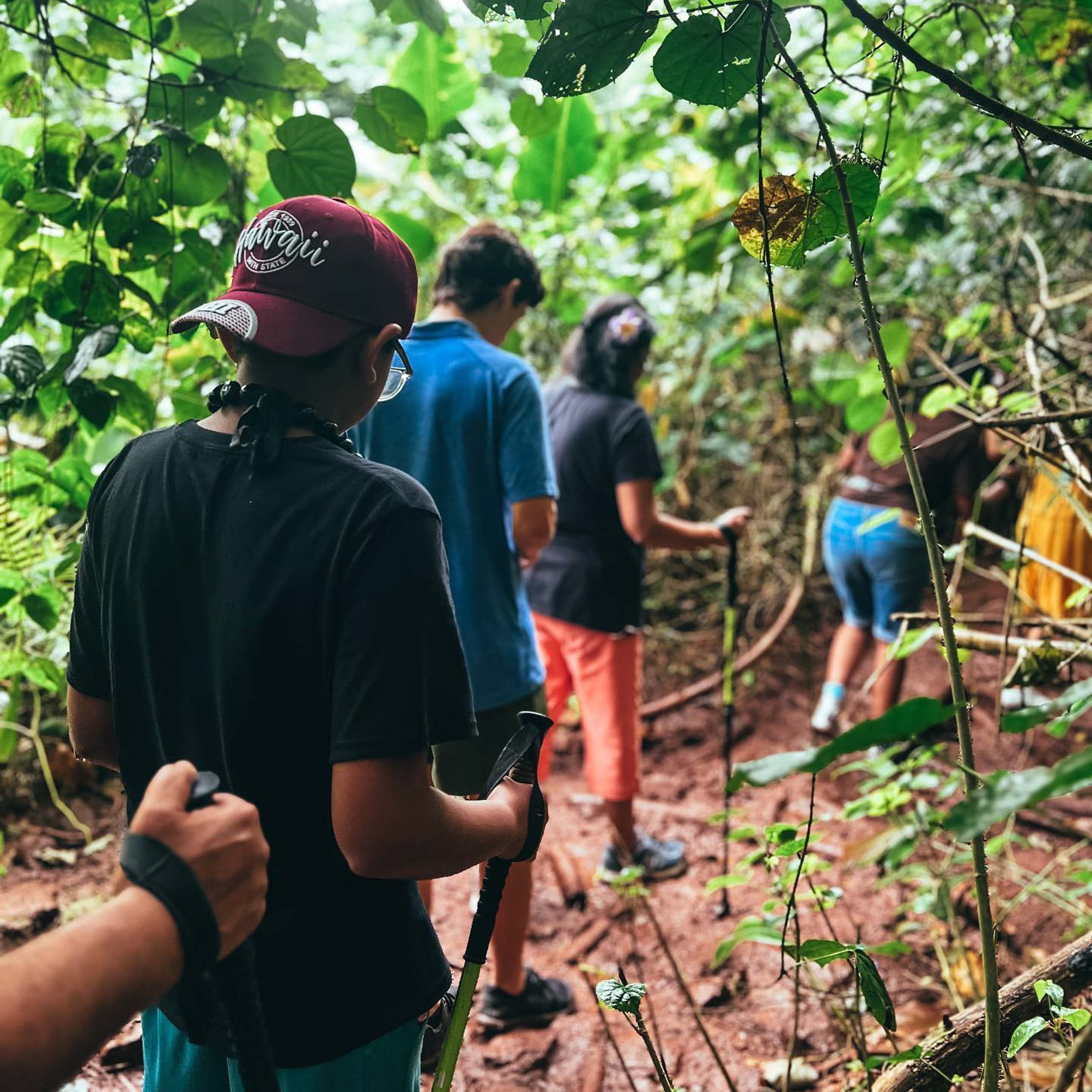 Hidden Ko’olau Waterfall Hike | Oahu Hiking Tours & Activities