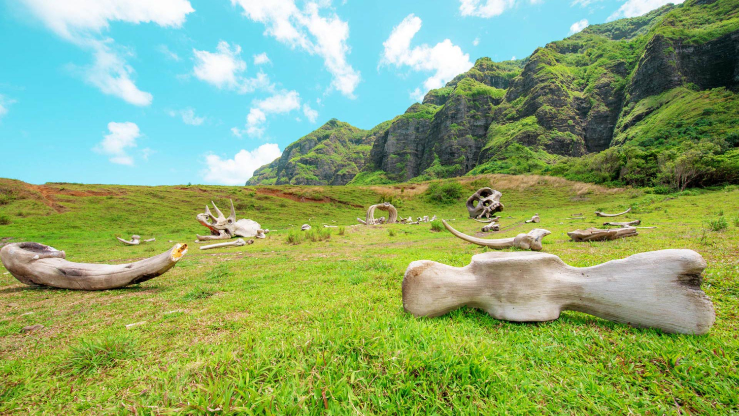Oahu Sightseeing: Iconic Landmarks & Activities