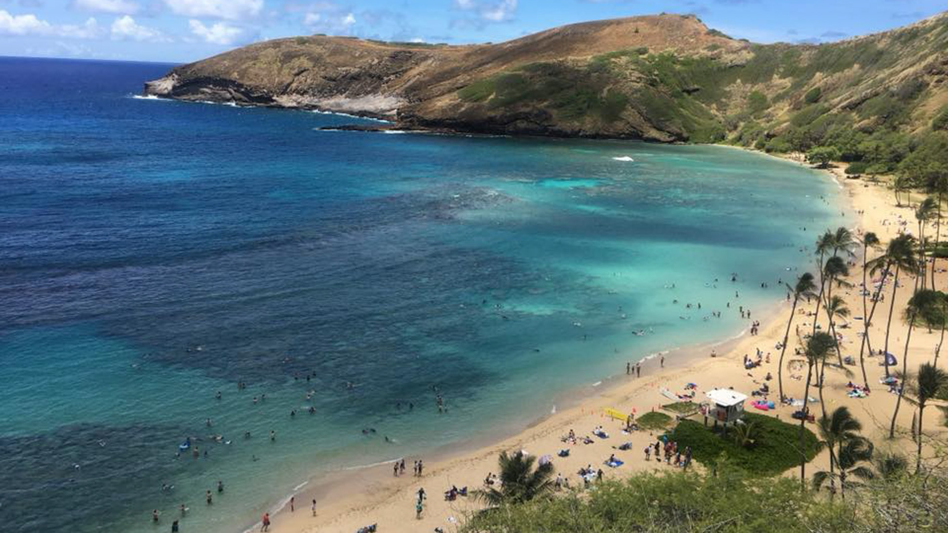 Hanauma Bay Shuttle and Snorkel | Maui Tours And Activities