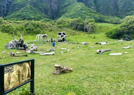 Explore Jurassic Park Tour | Oahu Activities
